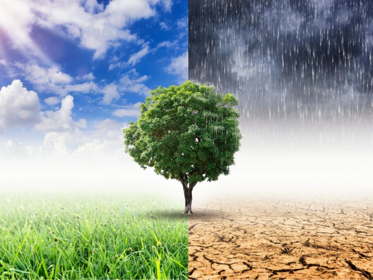 climate change activities for students Archives - Nature Watch Blog