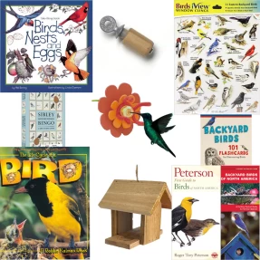 Afterschool STEAM+ | Nature-Watch