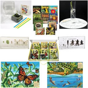 Kids Nature Craft Kits & Activity Kit Projects | Summer Camp Crafts For ...