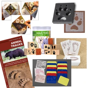 Nature & Science Curriculum: Nature & Science Lesson Plans For Children ...