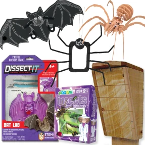 Bat Crafts & Activities for Kids | Nature Watch | Nature-Watch